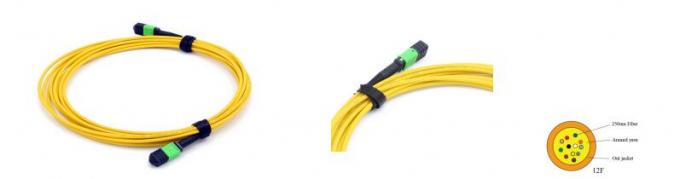 12 Fibers MTP Female To MTP Female Patch Cord Singlemode 3.0mm LSZH