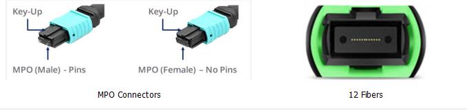 12F OM3 MPO-LC 2.0mm Straight Harness Cable