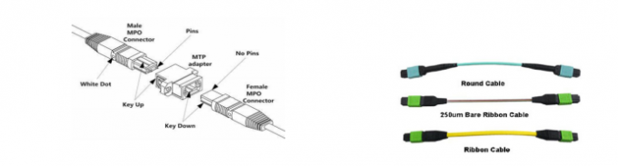 48F MTP OM4 Fiber Optic Trunk Cable