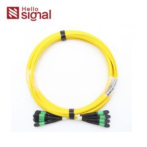 48F MTP OM4 Fiber Optic Trunk Cable