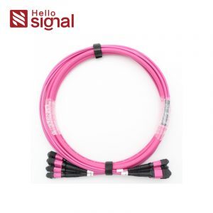 48F MTP OM4 Fiber Optic Trunk Cable