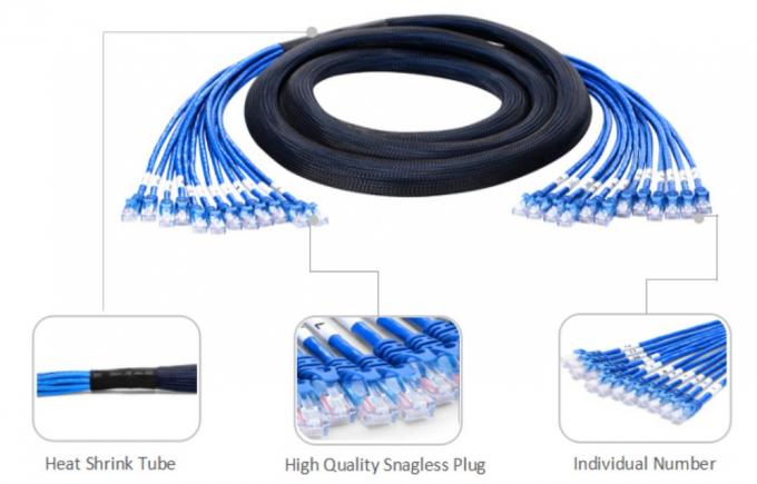 Cat 5e UTP Plug to Plug Trunk Cables