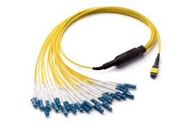 24 Fibers MPO to LC Singlemode Fiber Optic MPO-LC 2.0mm Straight ...